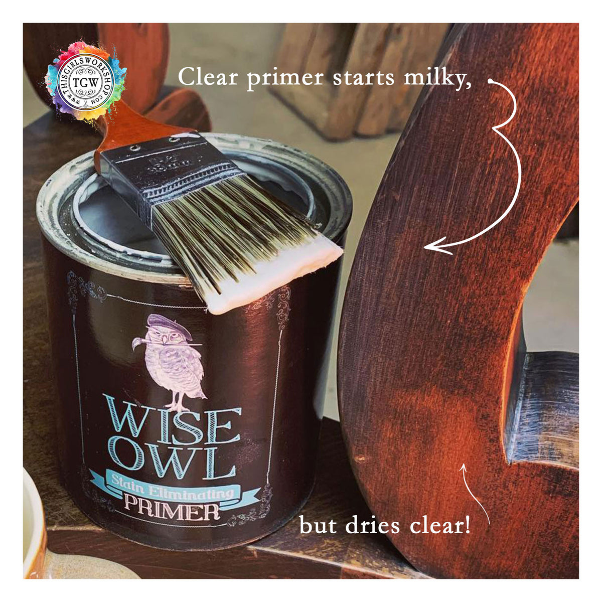 Clear - Stain Eliminating Primer - Wise Owl Paint – This Girls Workshop